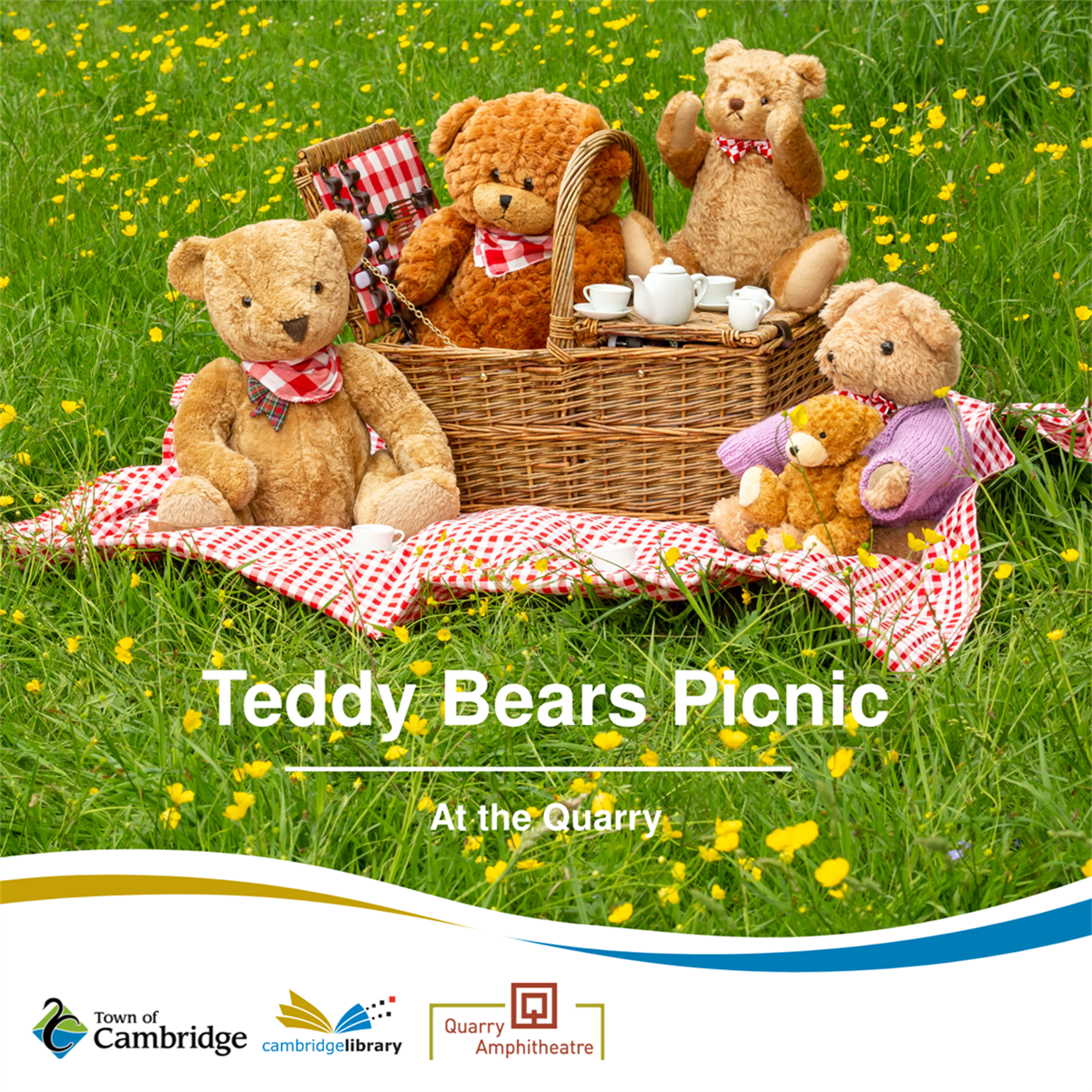 Teddy Bears Picnic at the Quarry 2025